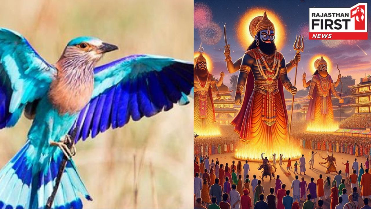 Neelkanth Bird on Dussehra: दशहरे के दिन नीलकंठ पक्षी का दर्शन माना ...